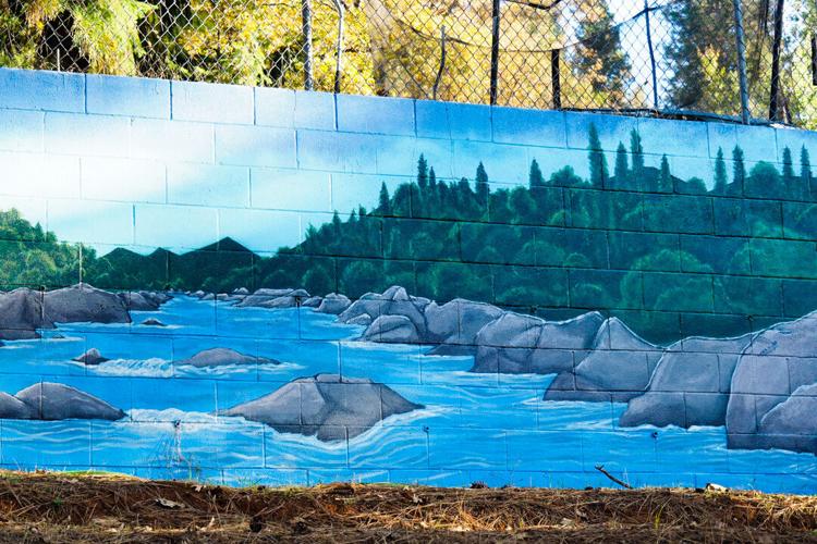 Nevada County Captures: Mural painted by my grandson Mikey Levitan and ...