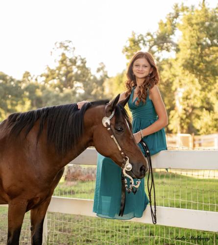Local Morgan horse champion wins with poise and ability | News ...