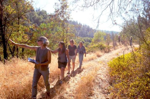 Deer Creek property sought by Nevada City for trail system | News ...