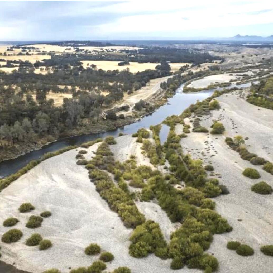 SYRCL begins construction on Upper Long Bar Habitat Restoration Project ...