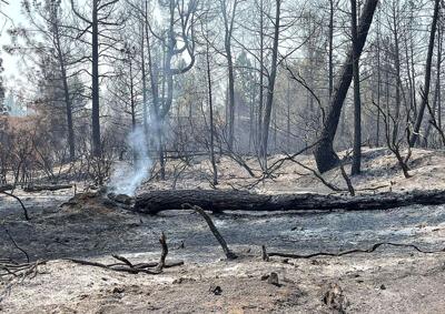 Bennett Fire progress slow and steady | Fire | theunion.com