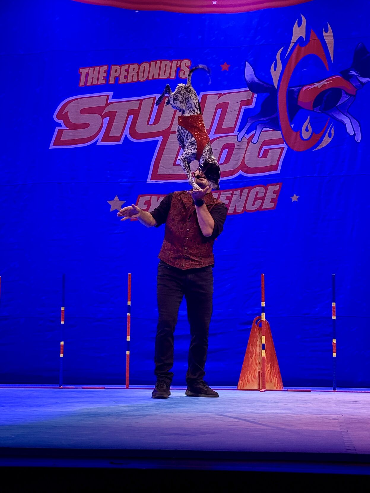 Nevada County Captures: Stunt Dogs at The Center for The Arts | News ...