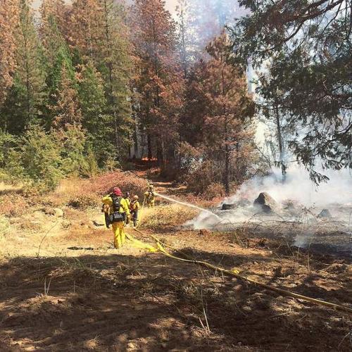 Man arrested on arson charges in connection to Grass Valley fire (VIDEO ...