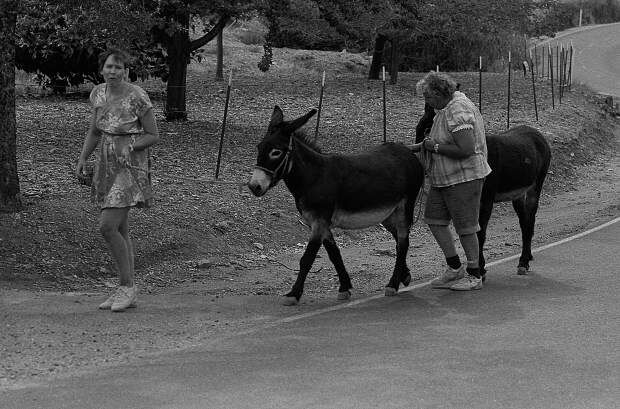 49er Fire memories: Where were you 30 years ago today? | Opinion ...