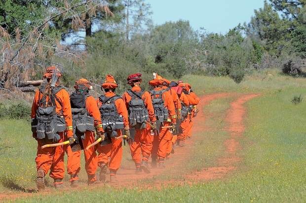Cal Fire hand crews undergo rigorous training | News | theunion.com