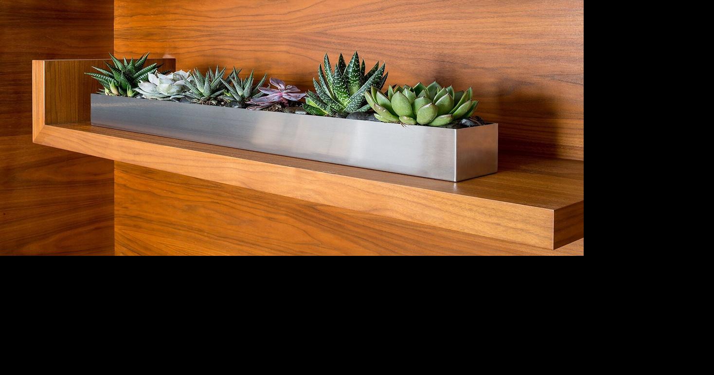 Melinda Myers: Grow a beautiful indoor succulent garden | Lifestyles ...