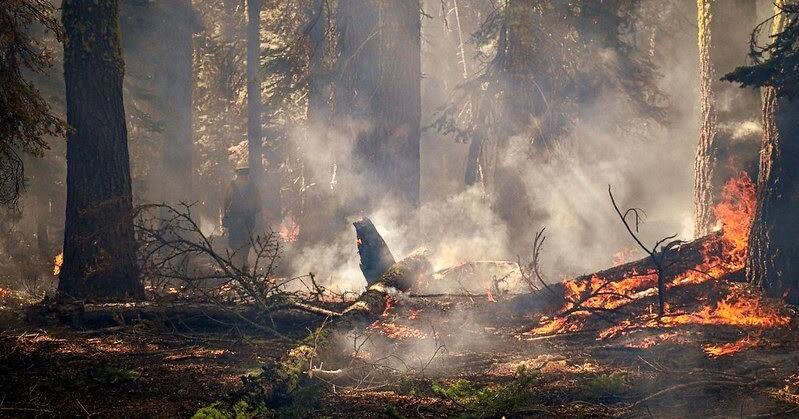 Spring prescribed fire projects planned to begin on the Tahoe National ...