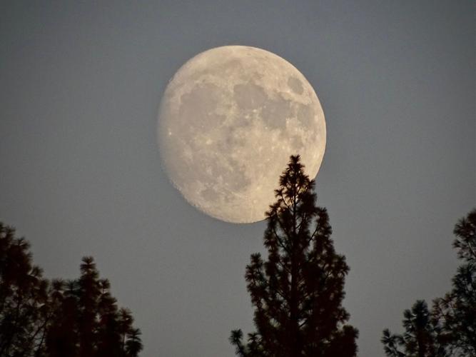 Nevada County Captures: Skippers Cove Marina, Englebright Reservoir ...