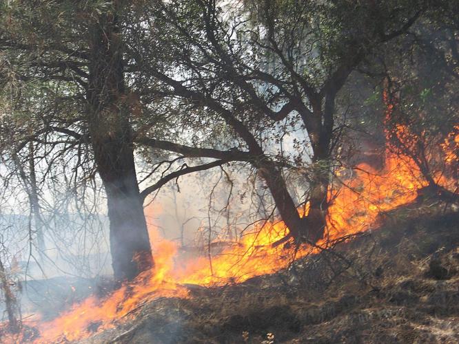 SYRCL, Nisenan join multi-agency effort to restore North Yuba River ...