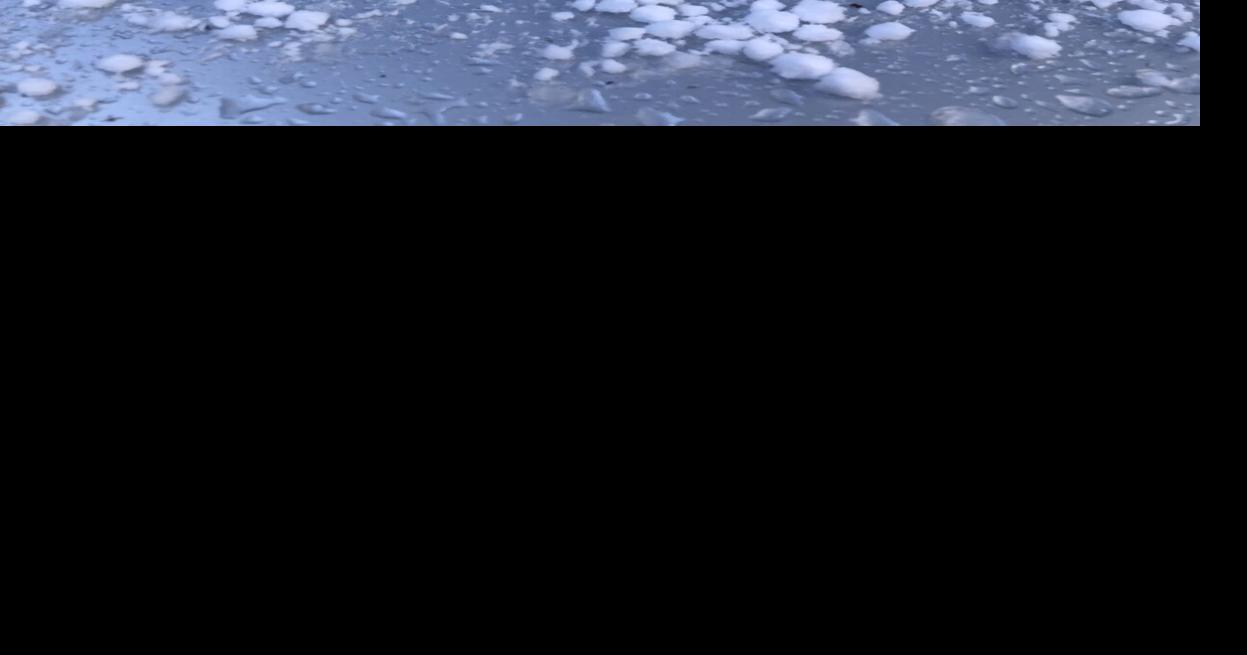 Warming up a bit: Spring still a ways off | News | theunion.com