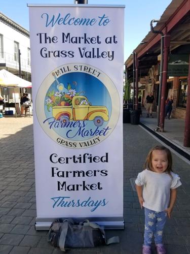 Nevada County Captures: Grace says "Its fun at Thursday night market in ...