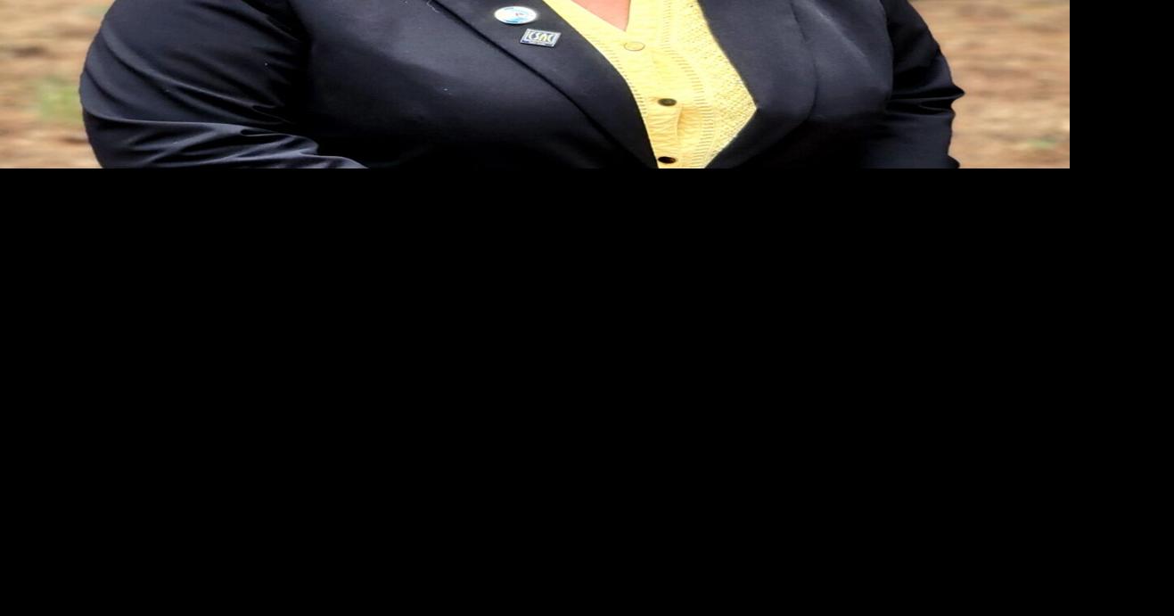 Supervisor Heidi Hall announces priorities for re-election campaign | News | theunion.com