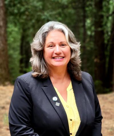 Supervisor Heidi Hall announces priorities for re-election campaign | News | theunion.com