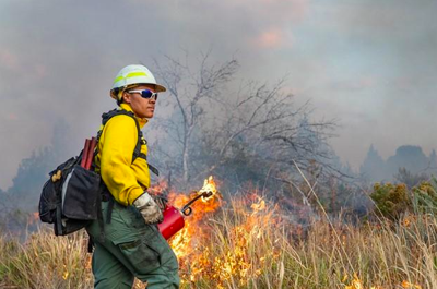 BLM to host wildland firefighter job fair in Sacramento, Feb. 2-4 ...