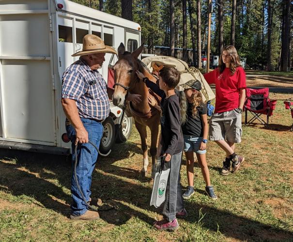 Farm Day 2023: Teaching youth what ‘agriculture’ really means (PHOTO ...