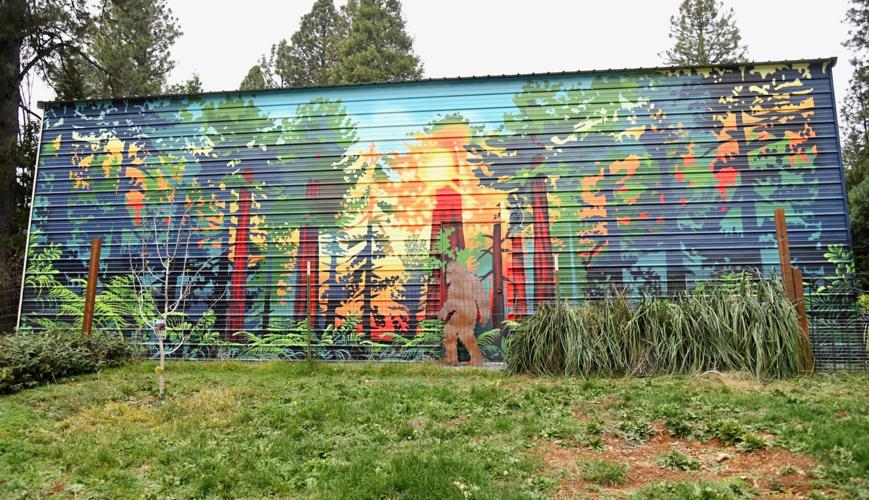 Artist Alison Kenyon shows off her latest creation (PHOTO GALLERY ...