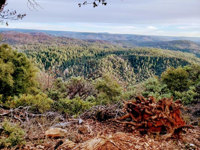 Day hiker: Yuba Rim Trail - Discover the beauty of Rice's Crossing ...