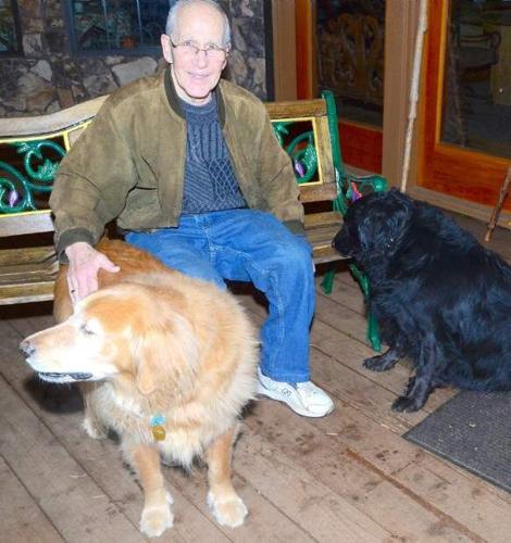 Dogs, cats and dragons: Benefit brings out characters | Entertainment ...