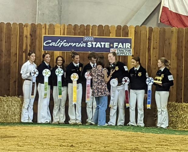 Preparing for the fair: Local FFA members share what it takes to be the ...