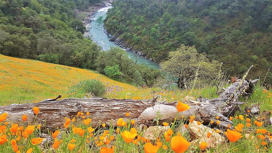 Mary West: Hike the Windy Point Trail | Outdoors | theunion.com