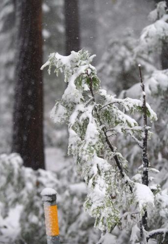 Riding the storm out: Two feet of snow, two inches of rain fall across ...
