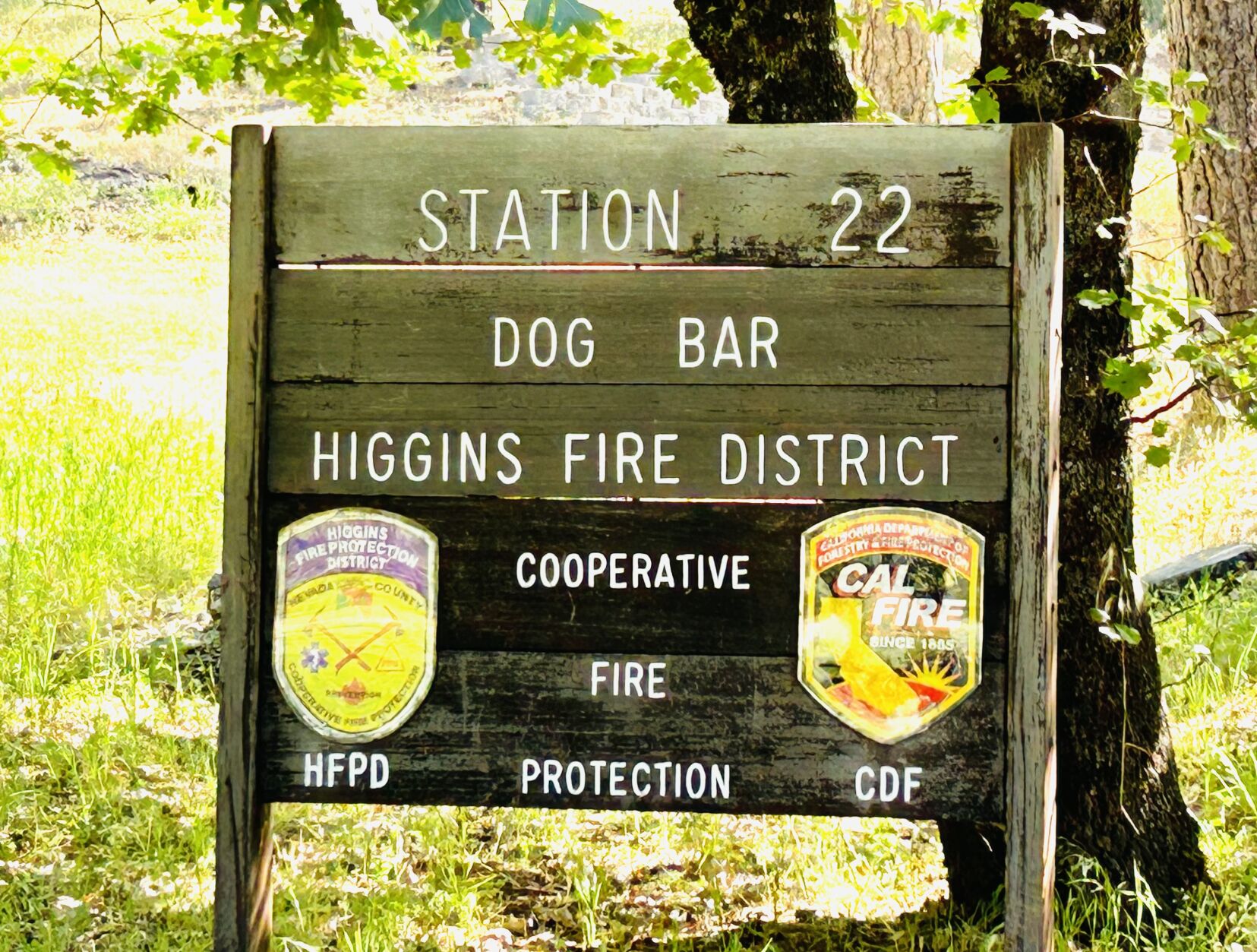 Dog Bar station set to reopen in January after passing of ballot ...