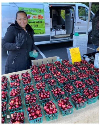 Spring has sprung and the Grass Valley Farmers Market is growing: The ...