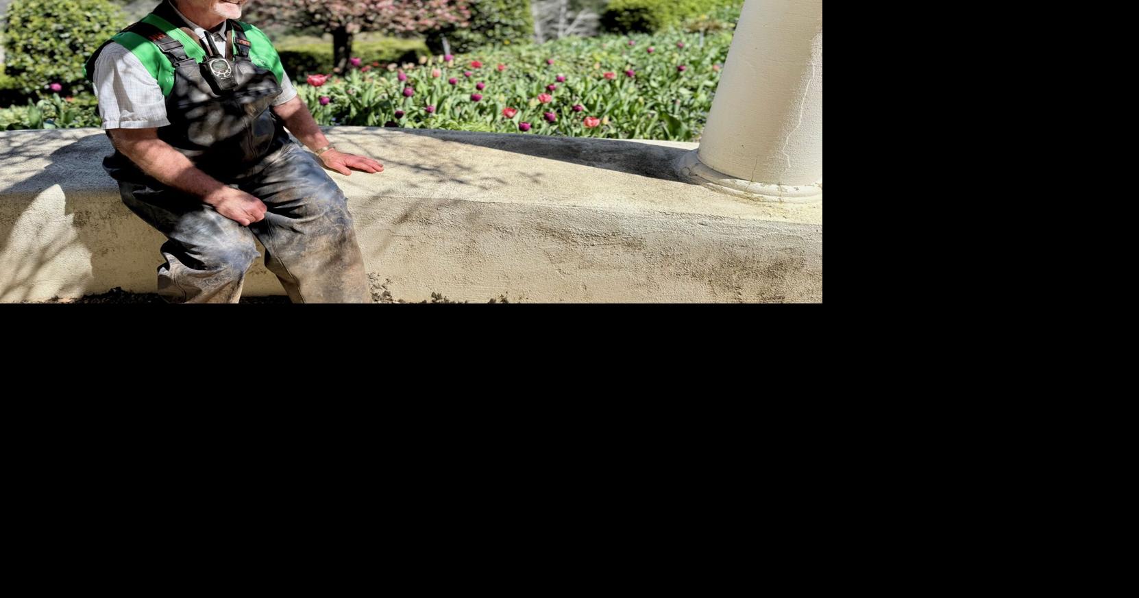 Things are looking 'snazzy' at Crystal Hermitage: Famous Ananda tulip ...