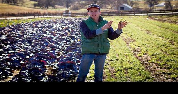 Amanda Thibodeau: Red cabbage is ‘Harvest of the Month’ | Entertainment ...