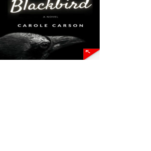 Joyful Aging — Carole Carson: A special gift for readers of The Union ...