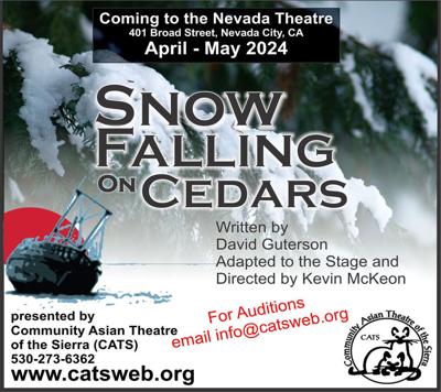 Auditions scheduled for 'Snow Falling on Cedars' | News | theunion.com