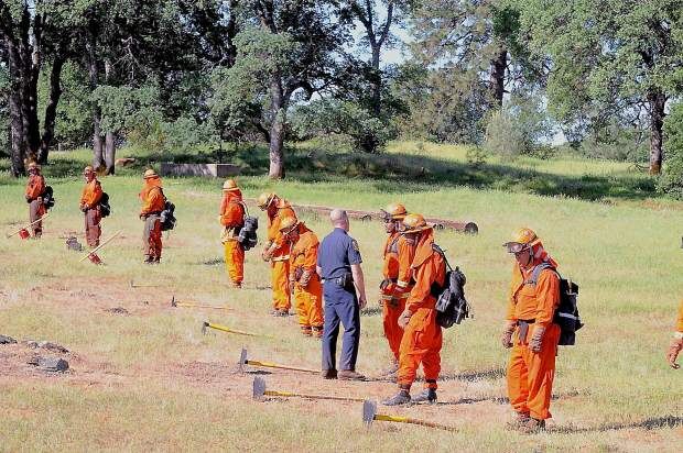 Cal Fire hand crews undergo rigorous training | News | theunion.com