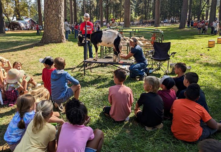 Farm Day 2023: Teaching youth what ‘agriculture’ really means (PHOTO ...