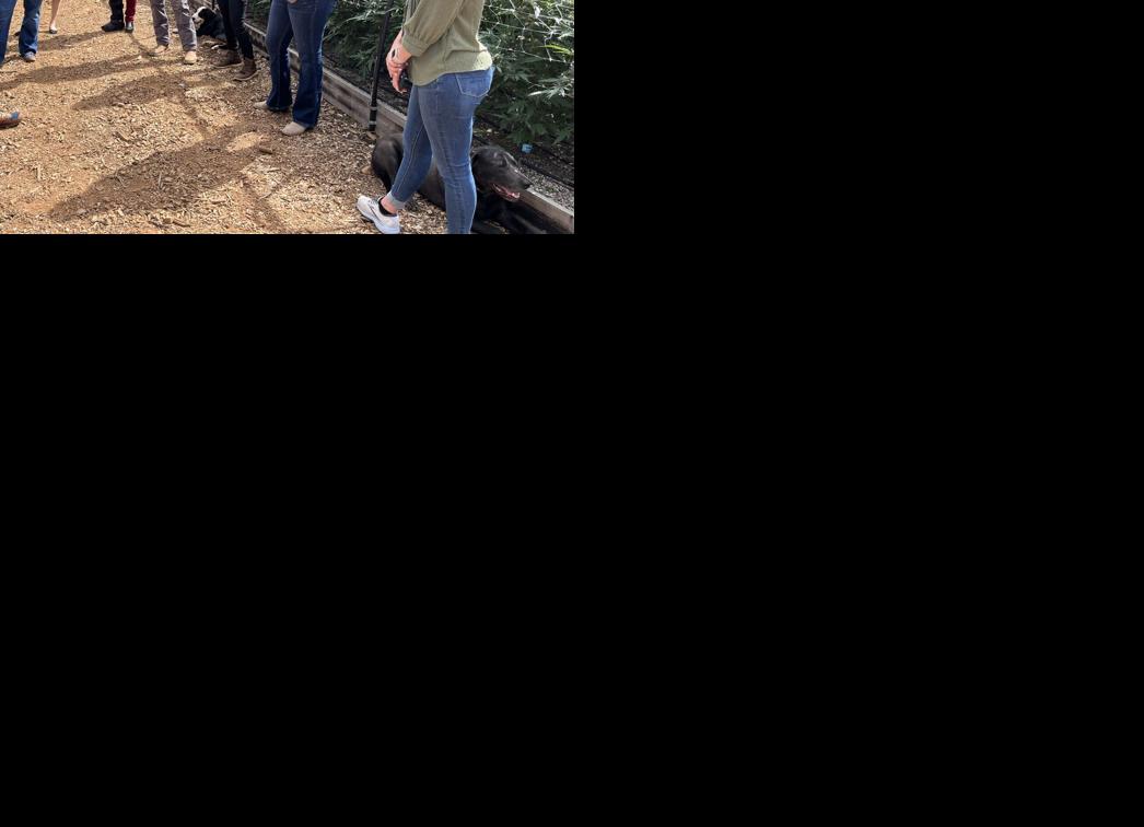 Megan Dahle visits Nevada County to learn about legal cannabis ...