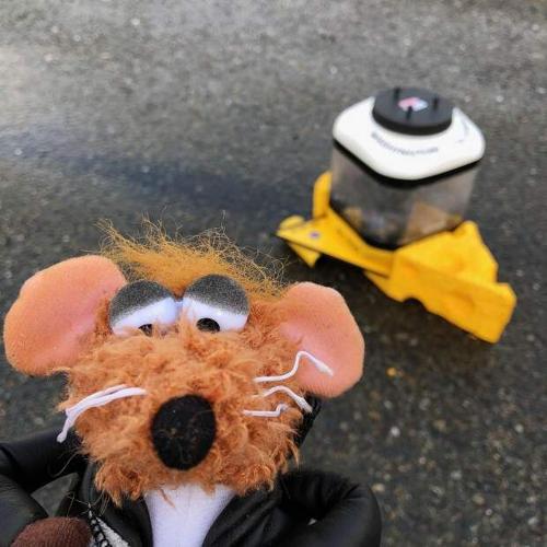 Rizzo the Rat reaches new heights after relaunch in Town of Washington ...