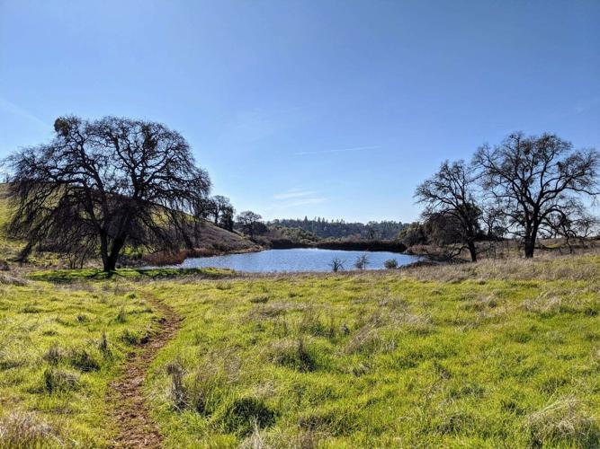 Mary West: Exploring the Olmstead Loop Trail | Lifestyles | theunion.com