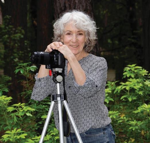 Second Saturday spotlight: Gail Lipson | Entertainment | theunion.com