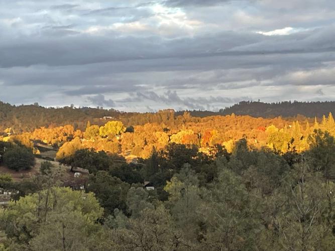 Nevada County Captures: Rapt attention | Community | theunion.com