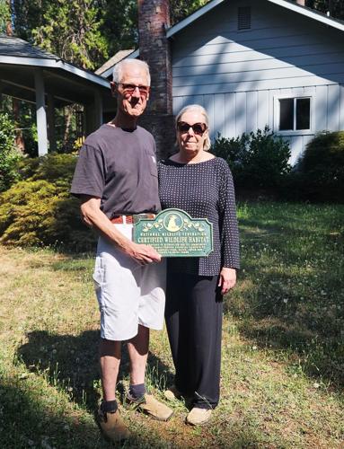 Lorraine’s Lowdown | News | theunion.com