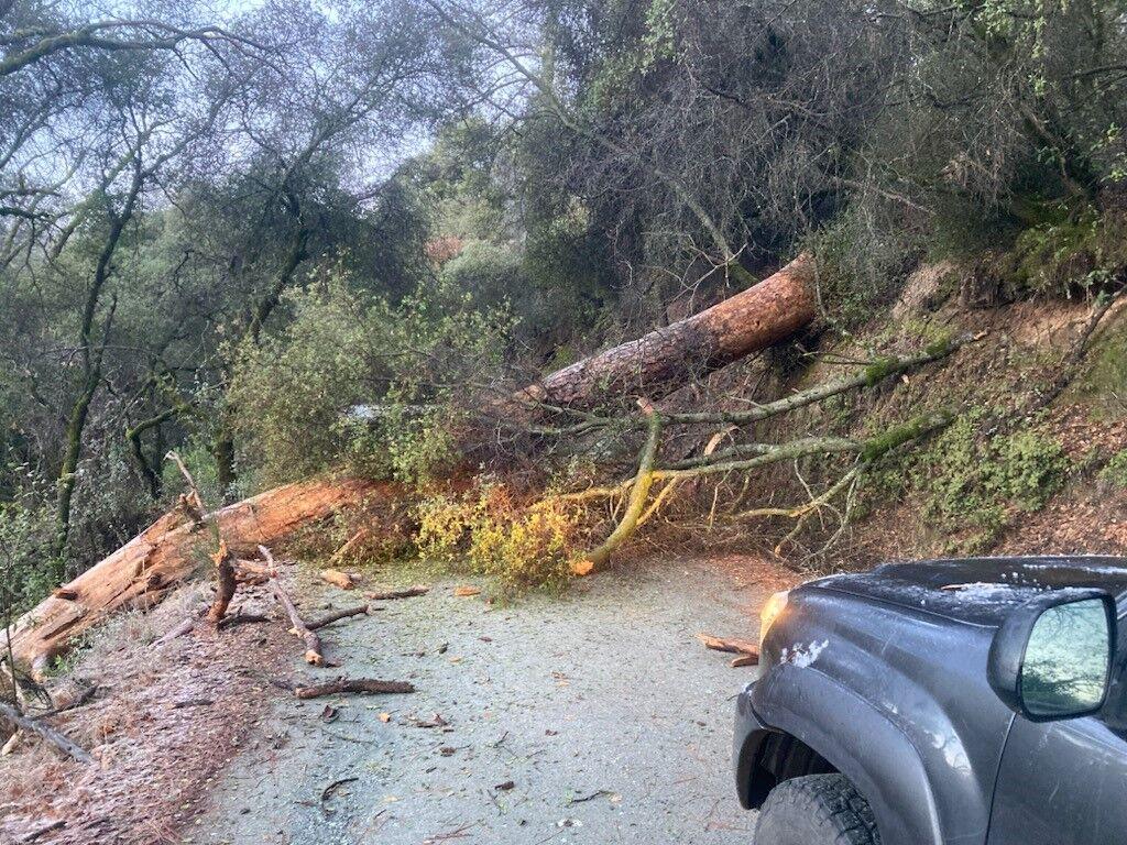Road closures due to ice, fallen tree | News | theunion.com