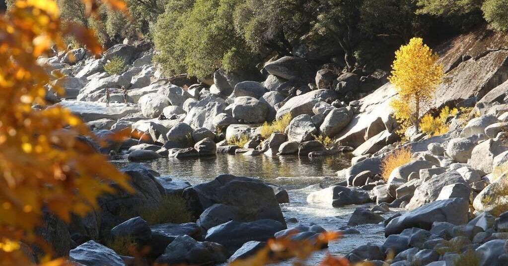 Fall is in the air: Weather Service predicts rain for this morning ...