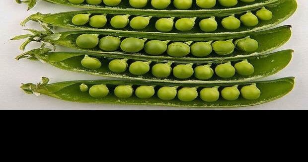 Amanda Thibodeau: ‘Harvest of the Month’ — peas | Entertainment ...