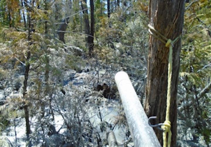 Rise Gold’s CEO found guilty on 13 counts in British Columbia retrial ...