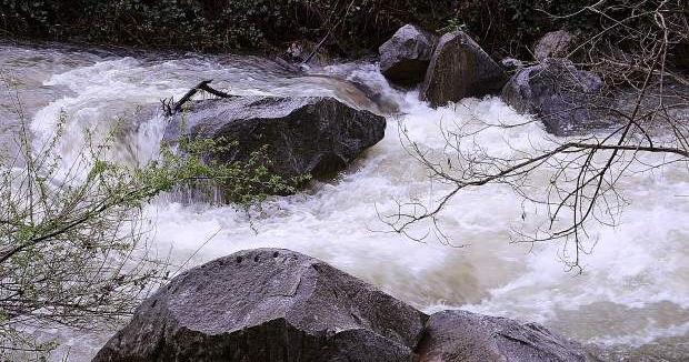 Nevada County Captures: Blooms at Ananda; Waterfalls | News | theunion.com