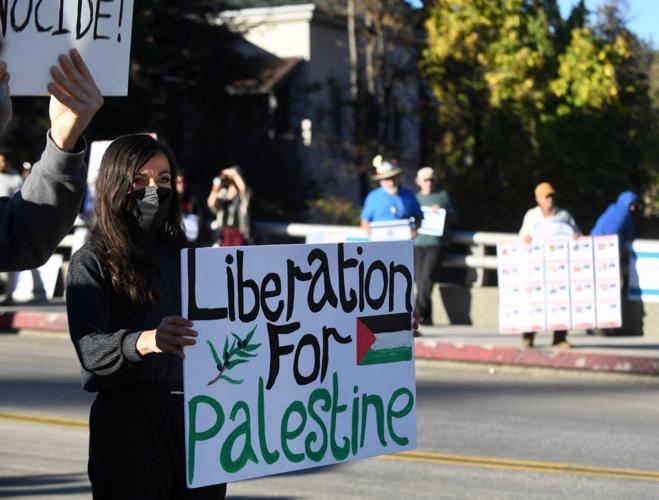 'Free, free Palestine; Free Gaza from Hamas': Nevada City protest draws ...