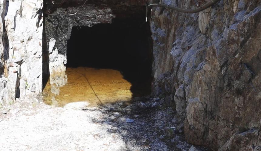 Former CEO of Rise Gold sentenced for environmental violations in ...