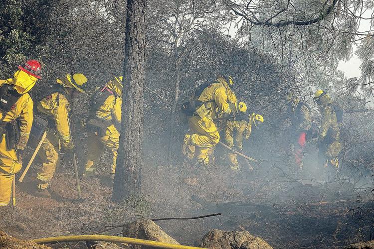 Suspect arrested in connection with wildland fire in Grass Valley ...