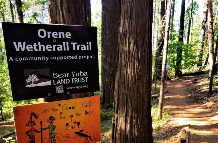 Mary West: Exploring the Cascade Canal Trail | Lifestyles | theunion.com