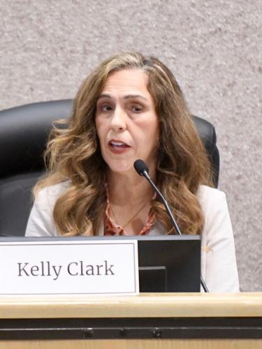 Candidates for local high school district offer varied responses to ...