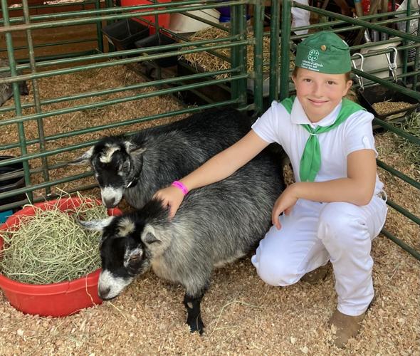 Horse and pygmy goat champion at the Fair: ‘We are so proud of her ...